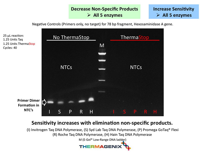 Thermo Sci - Maxima Hot Start Thermo Sci - Taq DNA Polymerase