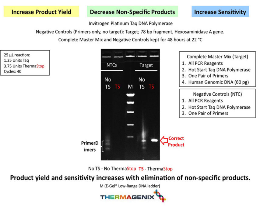Invitrogen Platinum Taq DNA Polymerase