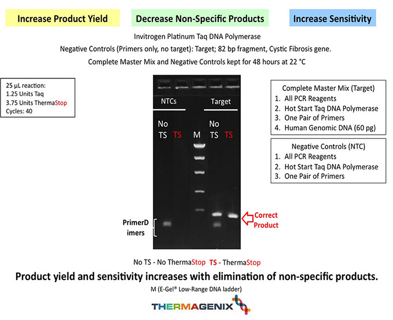 Invitrogen Platinum Taq DNA Polymerase