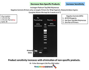 Invitrogen Platinum Taq DNA Polymerase